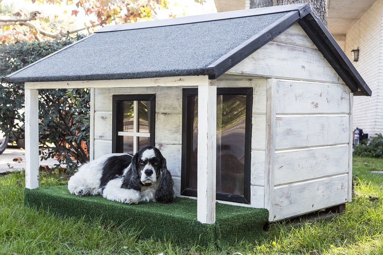 Hundehtte Fr Den Garten